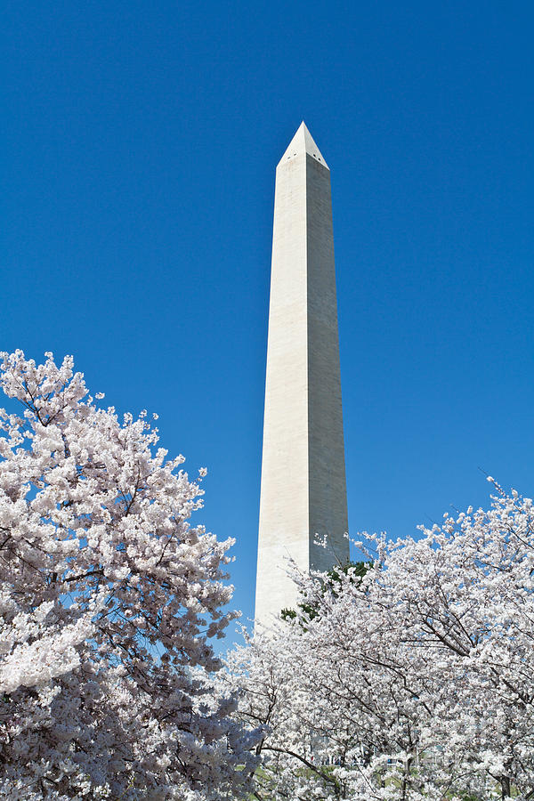 Washington DC Monument Photograph by Jim Pruitt - Fine Art America