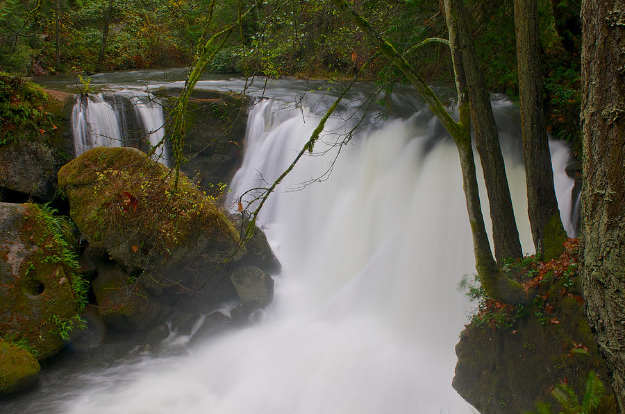 Watcom Falls Photograph by Jerry Druhan - Fine Art America