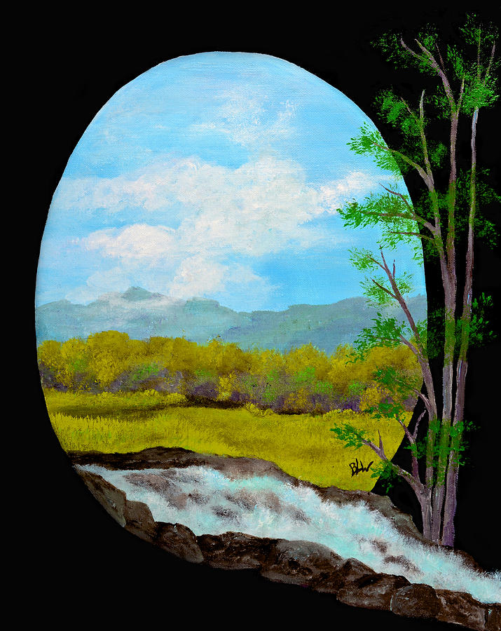 Water Dancing Painting by Barbara Willms - Fine Art America