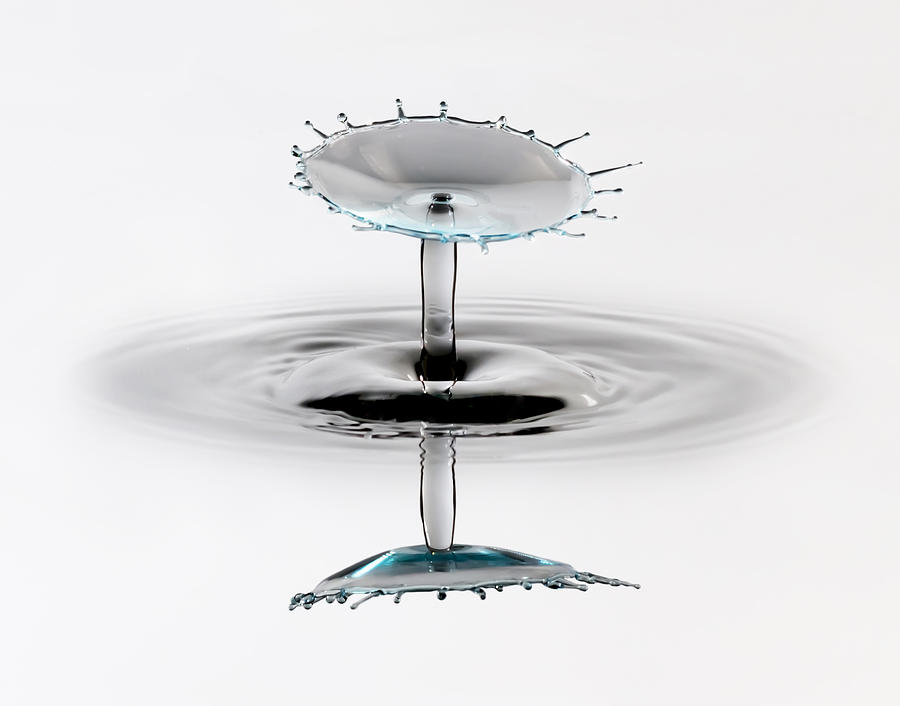 Water Drop Reflection Photograph by Tim Robinson
