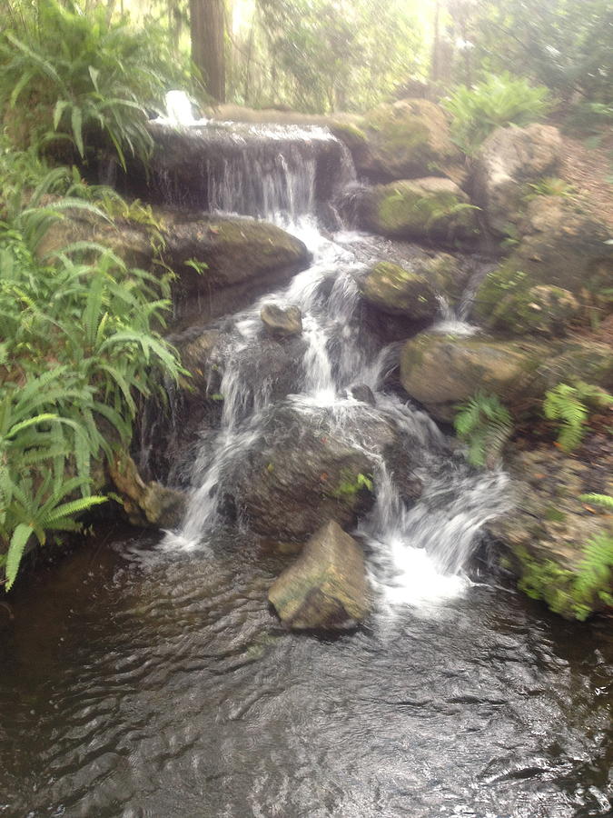 Waterfall Photograph by Tammy Dutton - Pixels