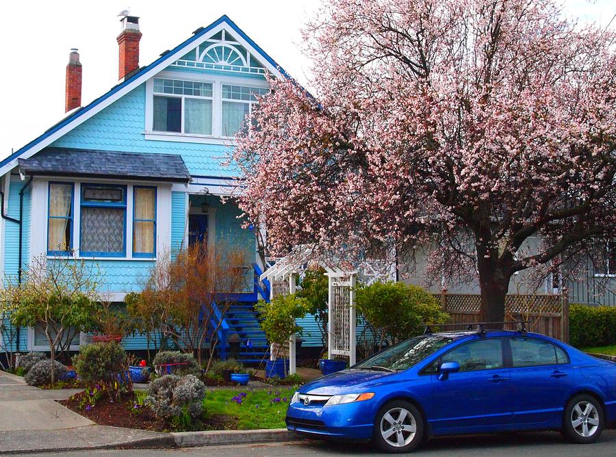 We Love Blue Photograph by Megg Dunn - Fine Art America