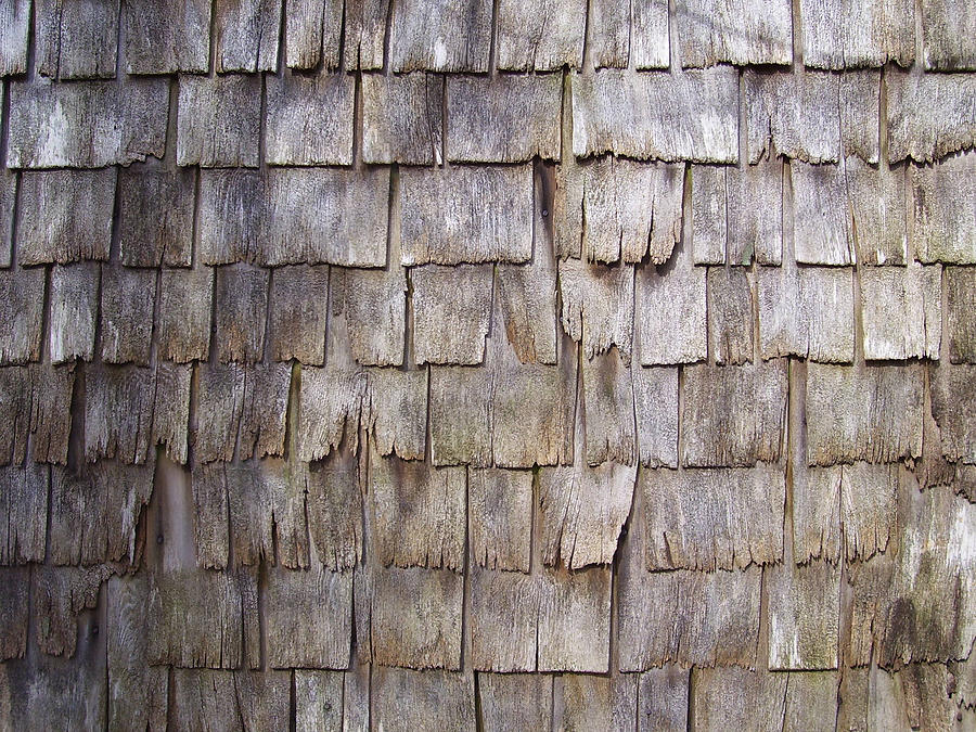 Weathered 1 Photograph by Robert Johnson - Fine Art America