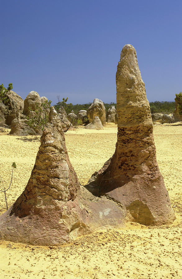 Weathered Limestone Pinnacles by Science Photo Library
