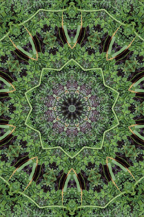 Webbed Kaleidescope Digital Art by Douglas Settle - Fine Art America