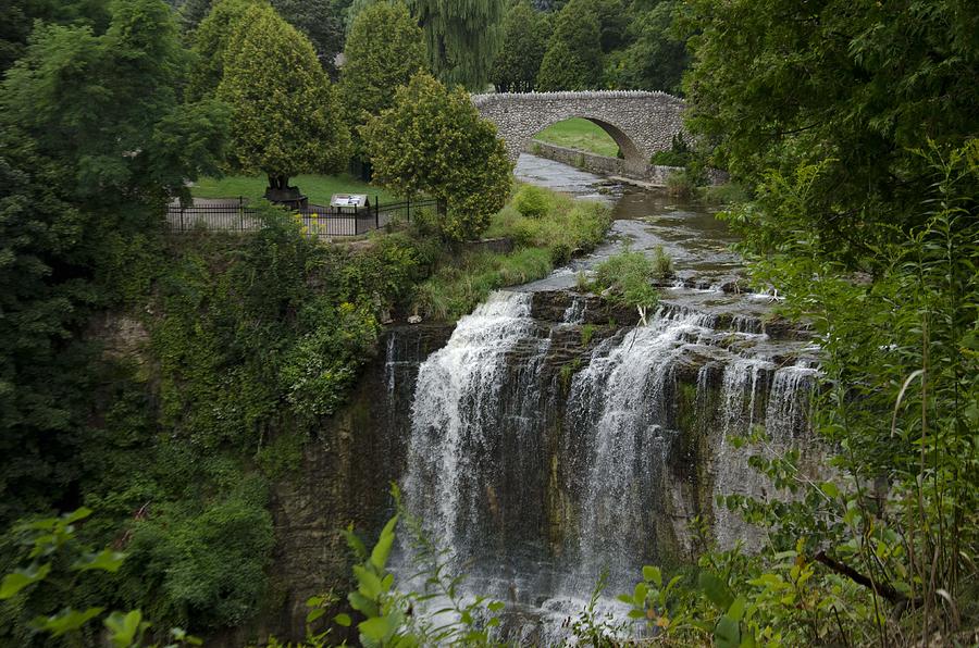 Webster's fall Photograph by William MacKenzie - Fine Art America