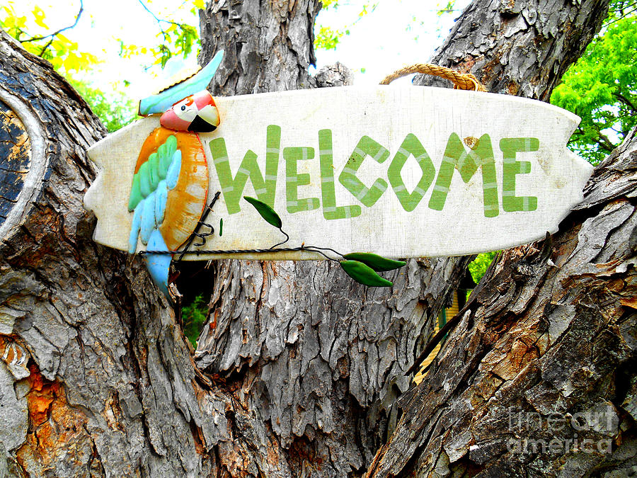 Welcome Sign Photograph by William Bennett - Fine Art America