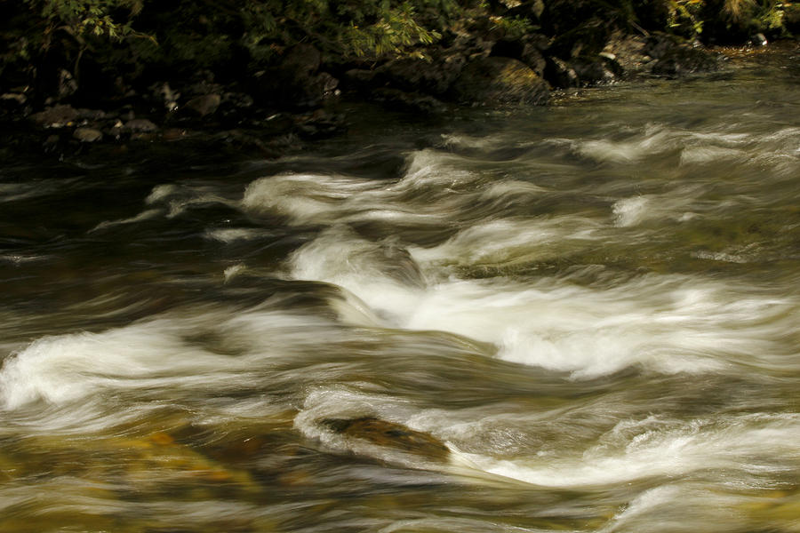 Welsh Stream Photograph by Simon Gregory - Fine Art America