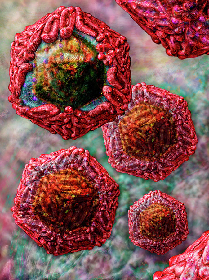 West Nile Virus Particles Photograph by Russell Kightley/science Photo Library - Pixels