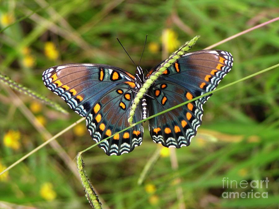 What's Underneath Photograph by Christine Stack - Fine Art America