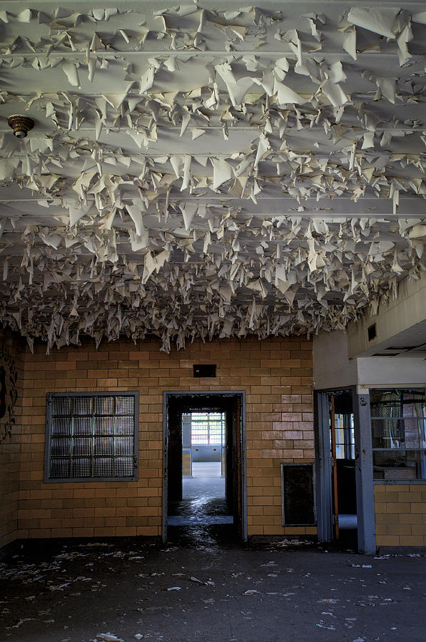 White Bats Photograph by Mark Serfass - Fine Art America