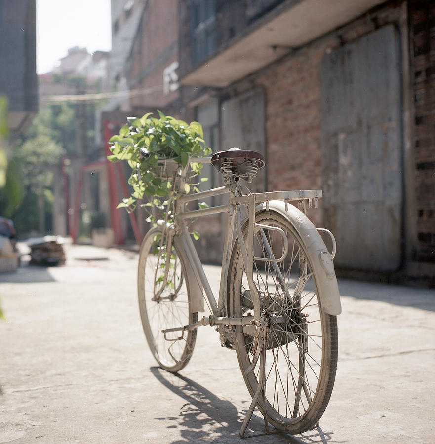 White Bicycle by Wayne