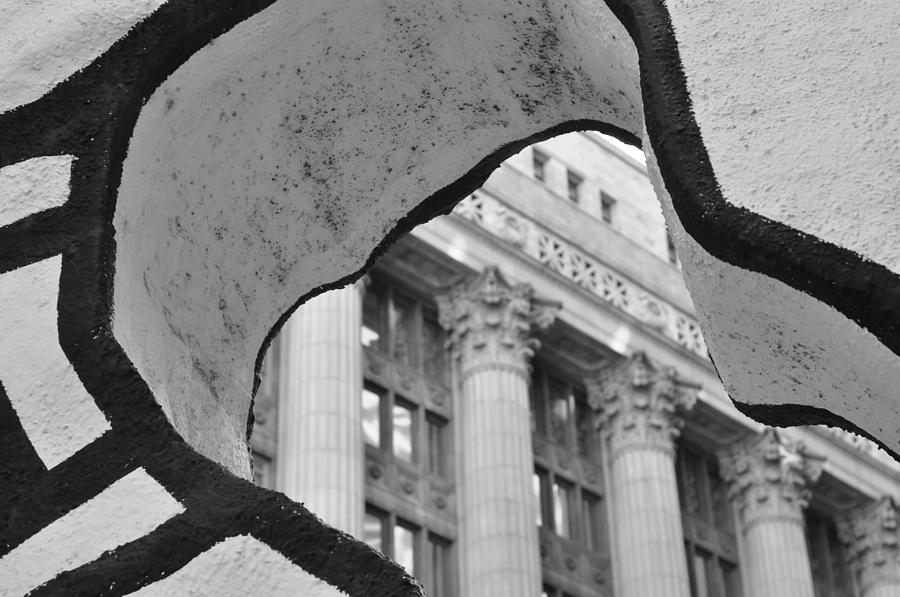 White Photograph by David Flitman - Fine Art America