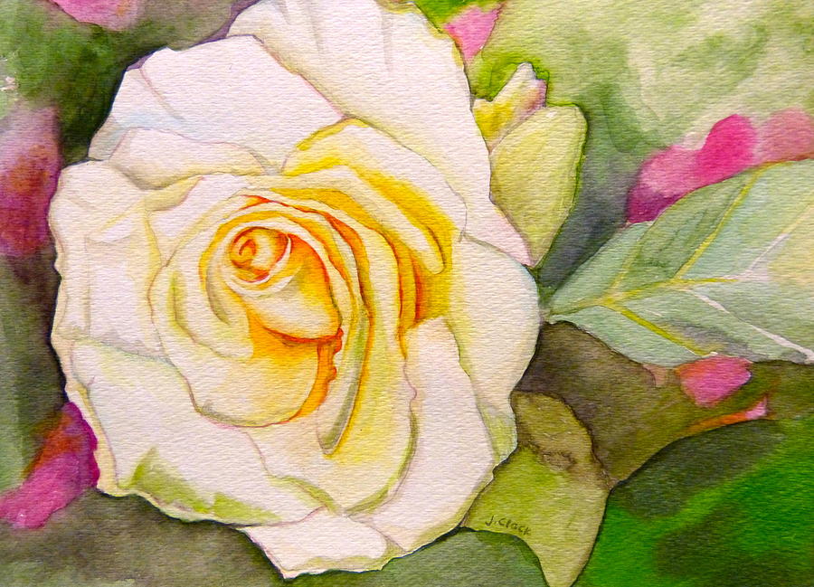 White Rose Painting by Jamie Clack | Fine Art America