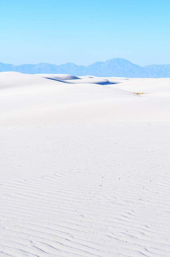 White Sands 4 Photograph By Treadwell Images Fine Art America
