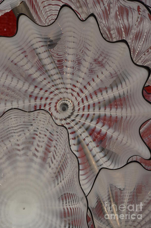 White Vortex Photograph by Coryanthes Linaya - Fine Art America