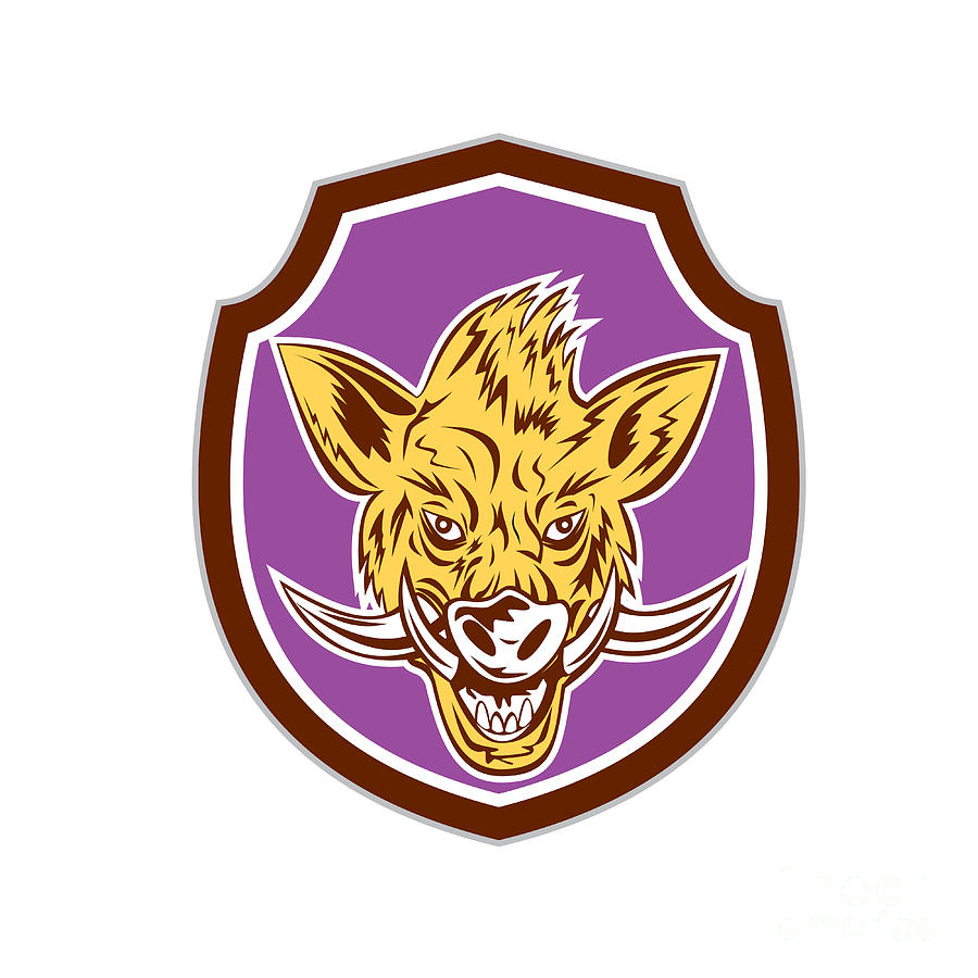 Wild Boar Razorback Head Shield Retro Digital Art by Aloysius ...