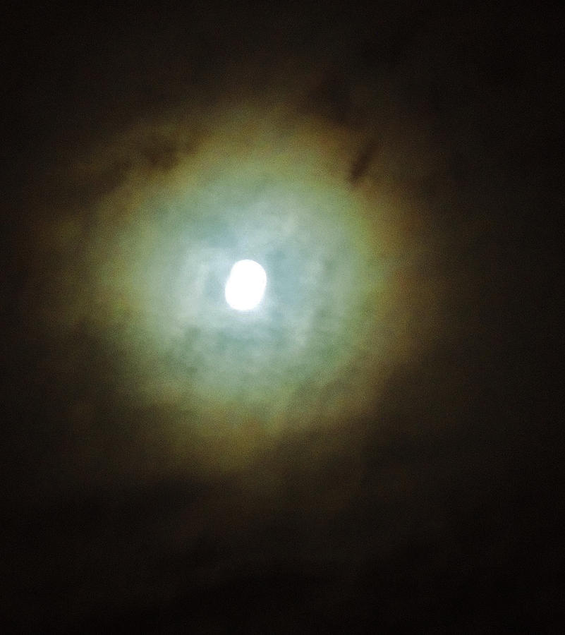 Wild Moons 21 Photograph by Ron Kandt | Fine Art America