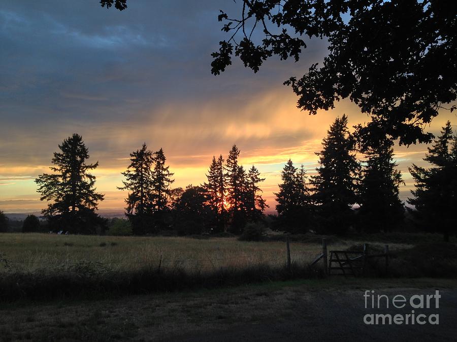 Wildcat Sunset E Photograph by Sue Hass - Fine Art America