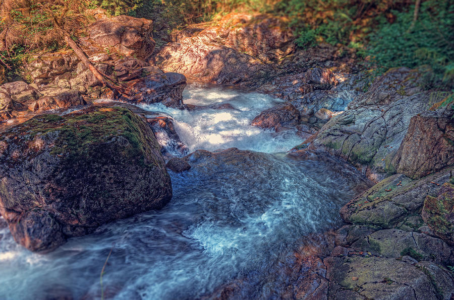 Wilderness River by Rontech2000