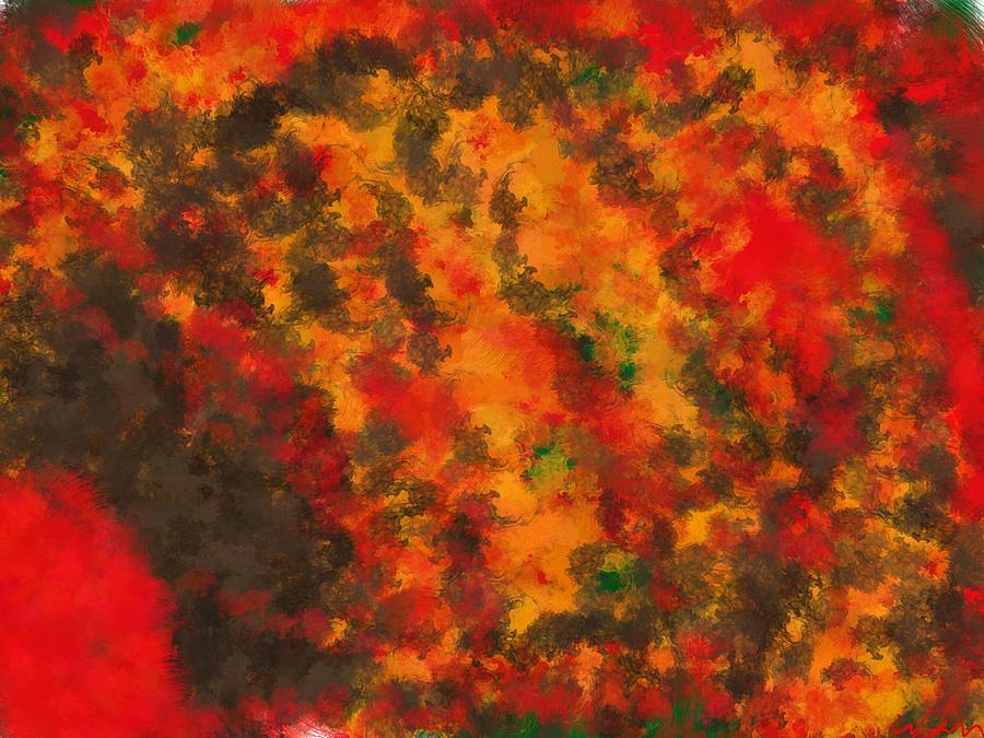 Wildfire Digital Art by Bill Minkowitz - Fine Art America