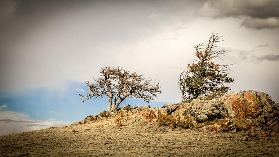 Wind shaped Photograph by Angelo Vlahos - Fine Art America