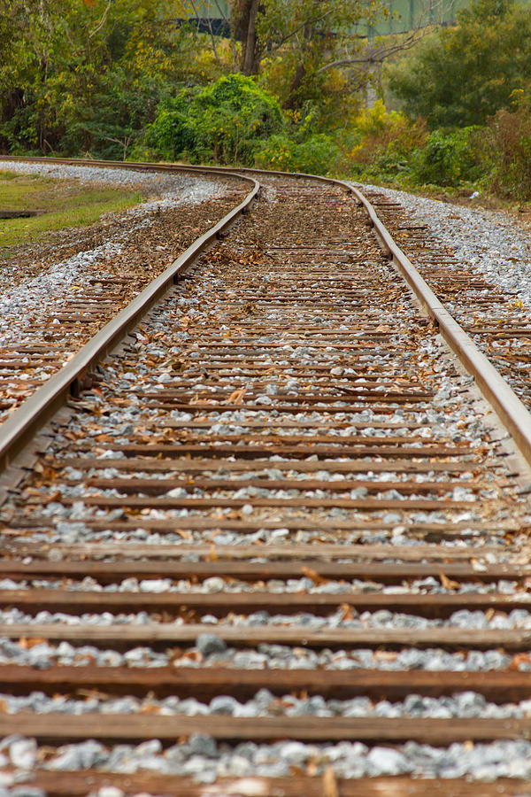 Winding Rails Photograph by Heather Roper - Fine Art America