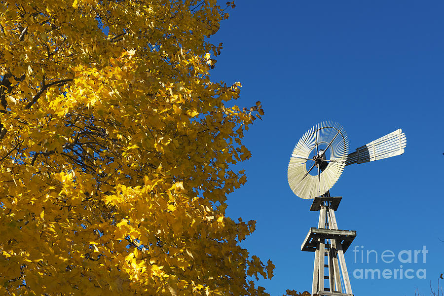 Windmill and Fall Tree Photograph by David Arment | Pixels