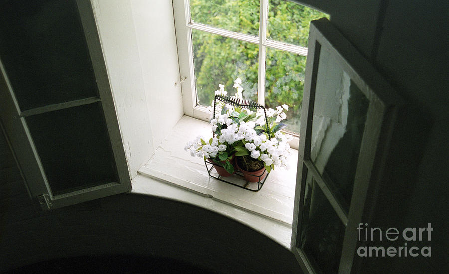 Window from High Photograph by Craig Rea - Fine Art America