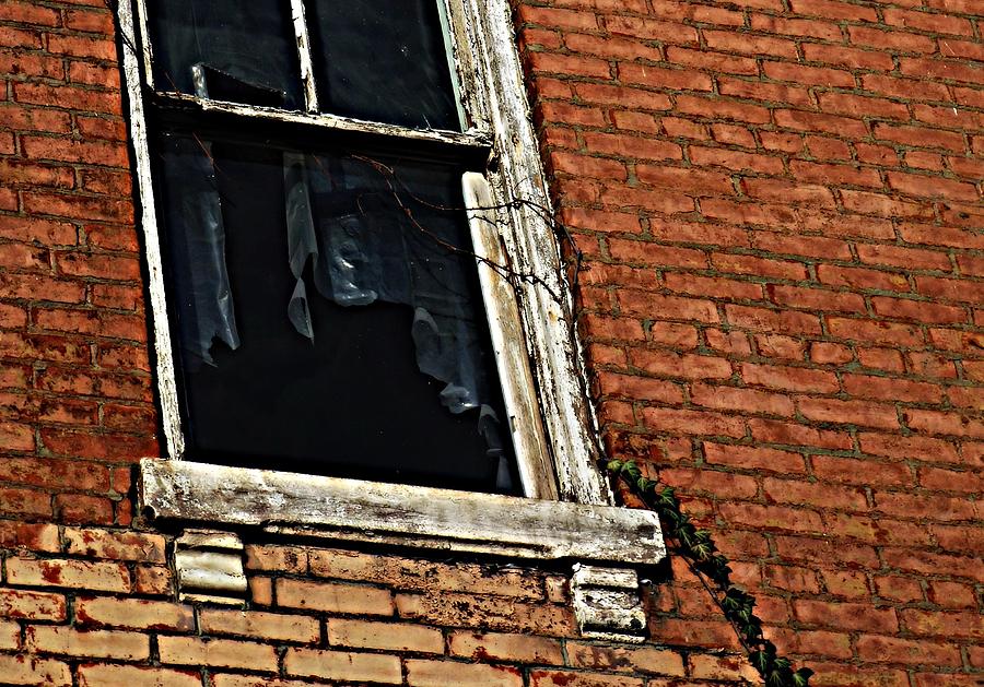 Window Pain Photograph by Anthony Ackerman - Fine Art America