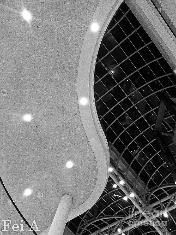 Windowed Ceiling Photograph by Fei A - Pixels