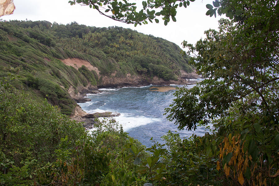 Windswept Photograph by Giftus John - Fine Art America