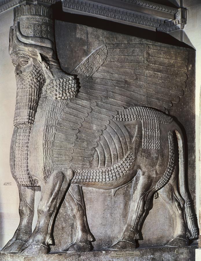 Winged Assyrian Bull. 721 Bc - 705 Bc Photograph by Everett - Fine Art America