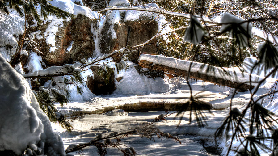 Winter Den Photograph by Ric Potvin - Fine Art America