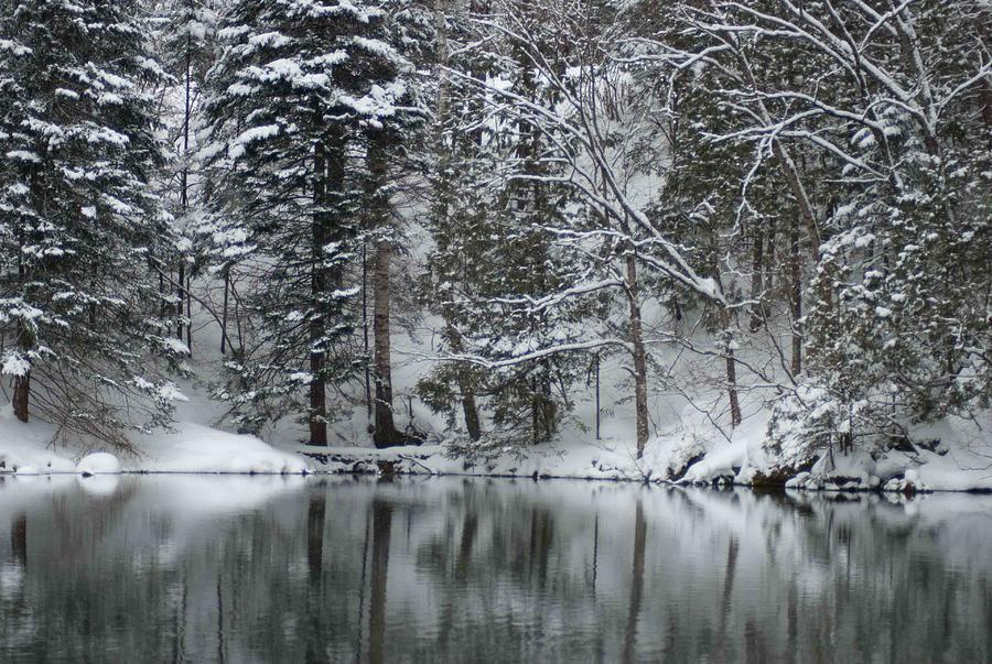 Winter forest reflections Photograph by Optical Playground By MP Ray - Fine Art America