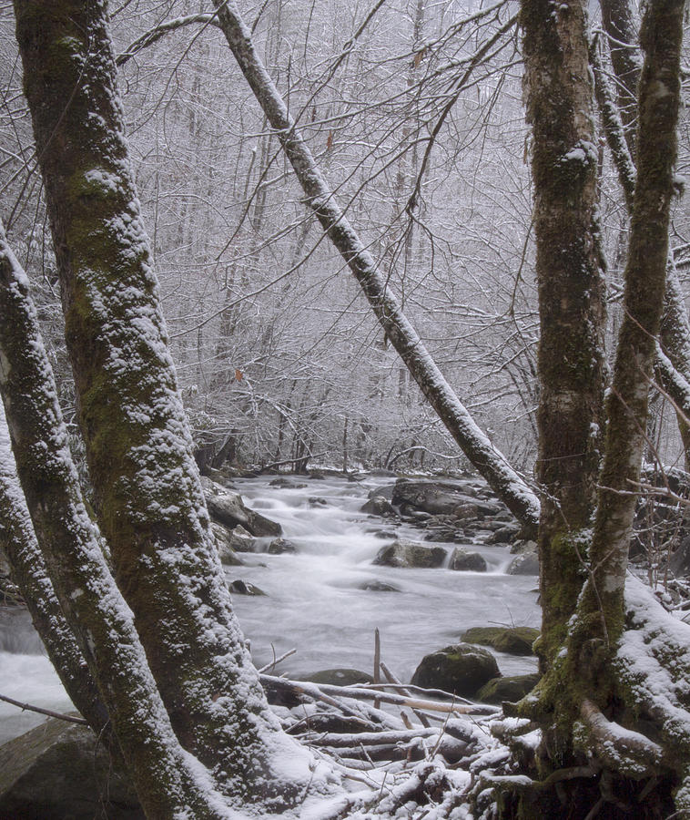 Winter Frame Photograph by Bobby Fee - Fine Art America