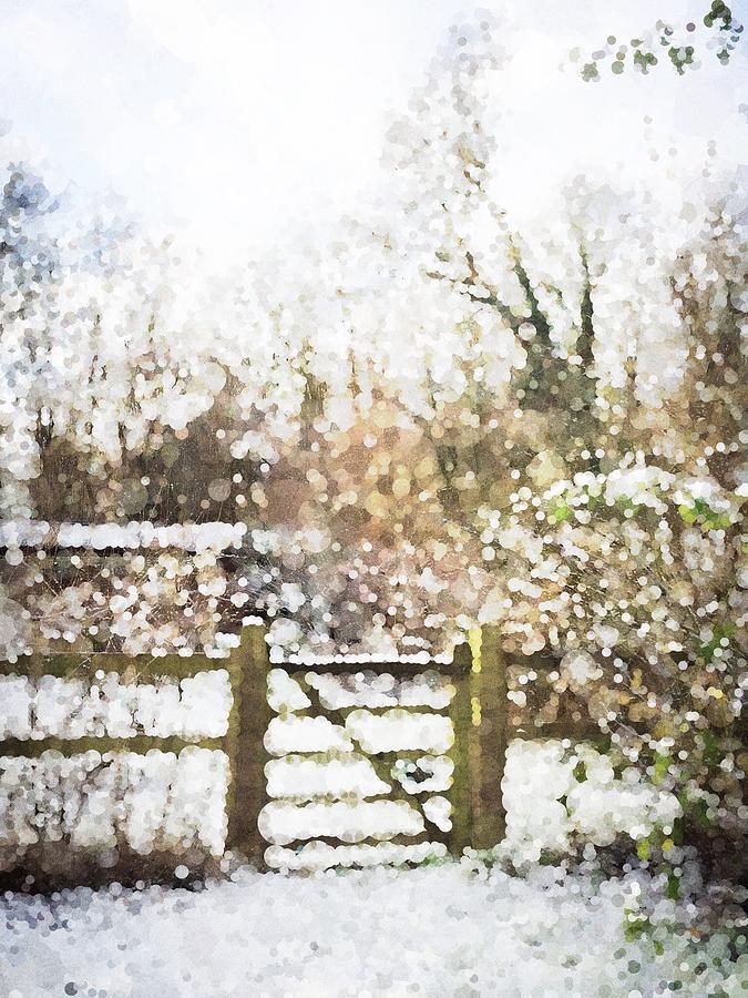Winter Gate Photograph by Mo Barton | Fine Art America