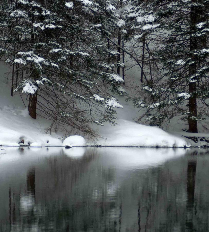 Winter reflection 004 Photograph by Optical Playground By MP Ray - Fine ...