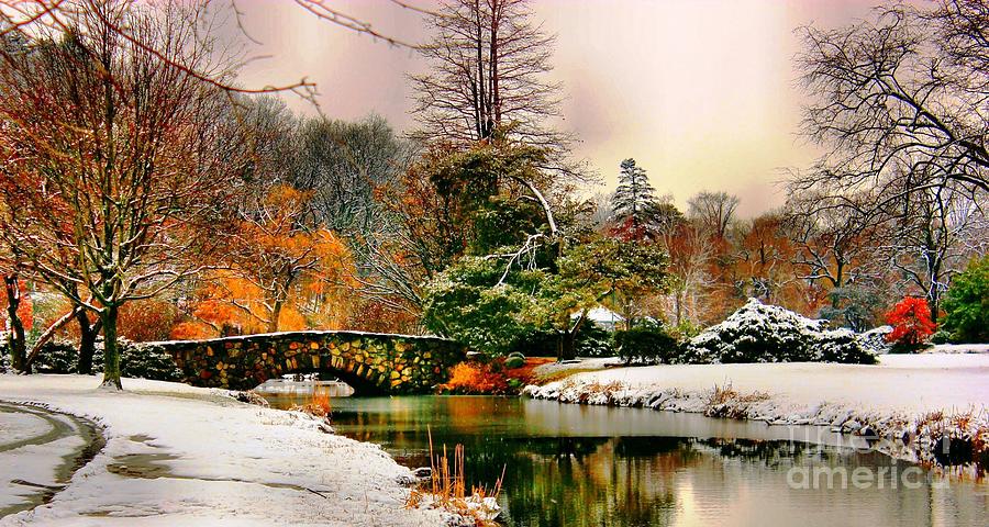 Winter Reflection Quotes