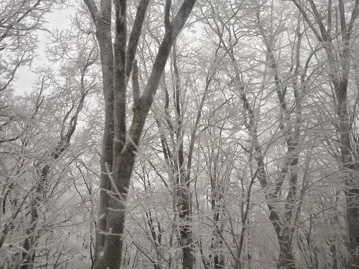 Winter Photograph by Robert Correll - Fine Art America