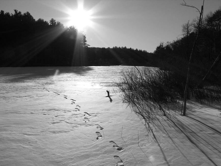 Winter Solace Photograph by Thomas Moore - Fine Art America