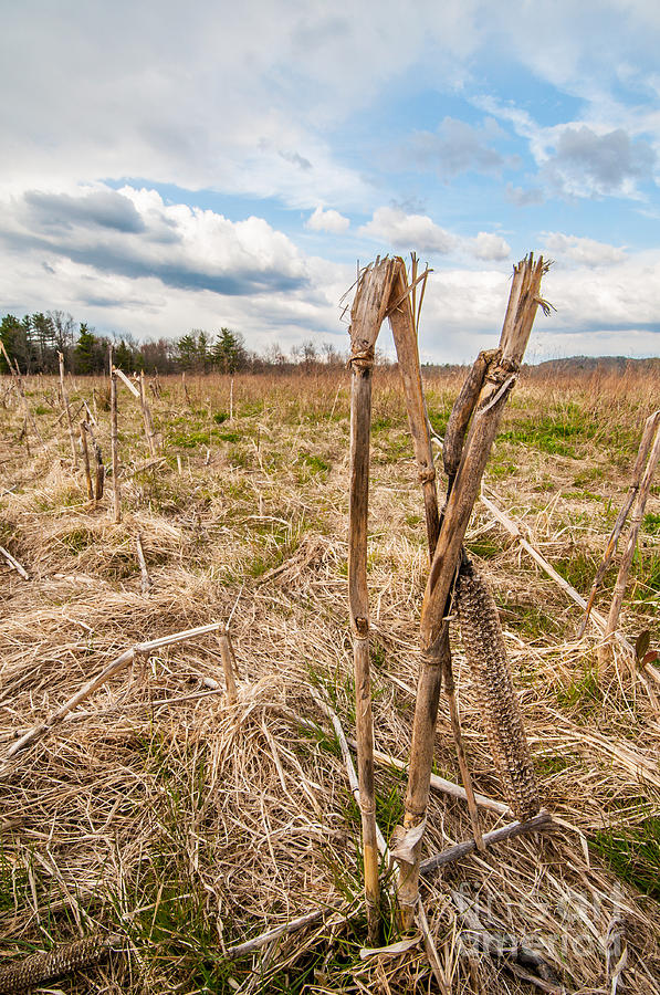 Farm - Withered Fields Photograph by JG Coleman - Pixels