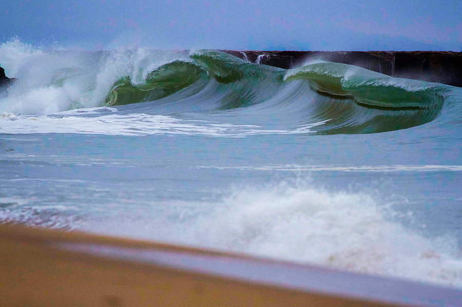 Wolf Pack Photograph by David Alexander | Fine Art America