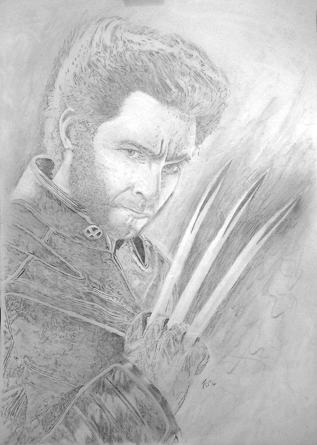 Wolverine Drawing by John JRS Artworks - Fine Art America
