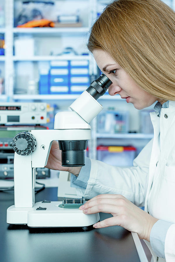 Woman Using Microscope Photograph by Wladimir Bulgar/science Photo ...