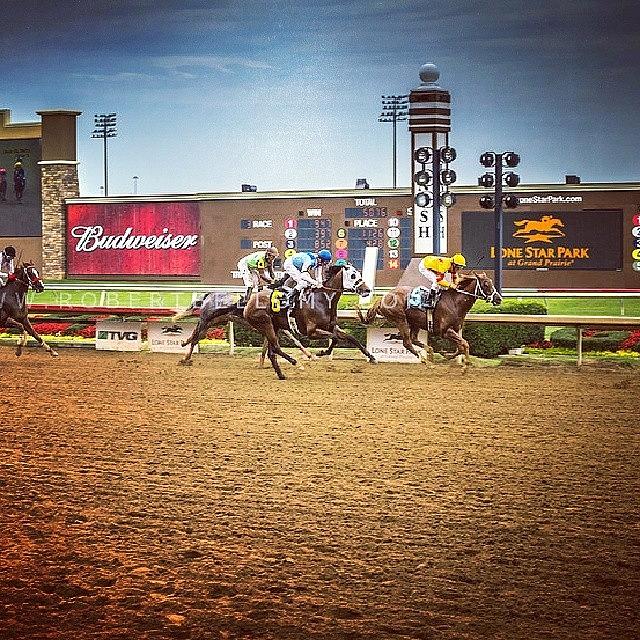 Won By A #nose. #lonestarpark Photograph by Robert Bellomy - Fine Art ...