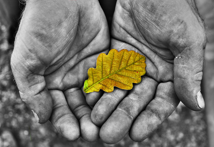 Workers Hands Photograph by Stuart Gunn - Fine Art America