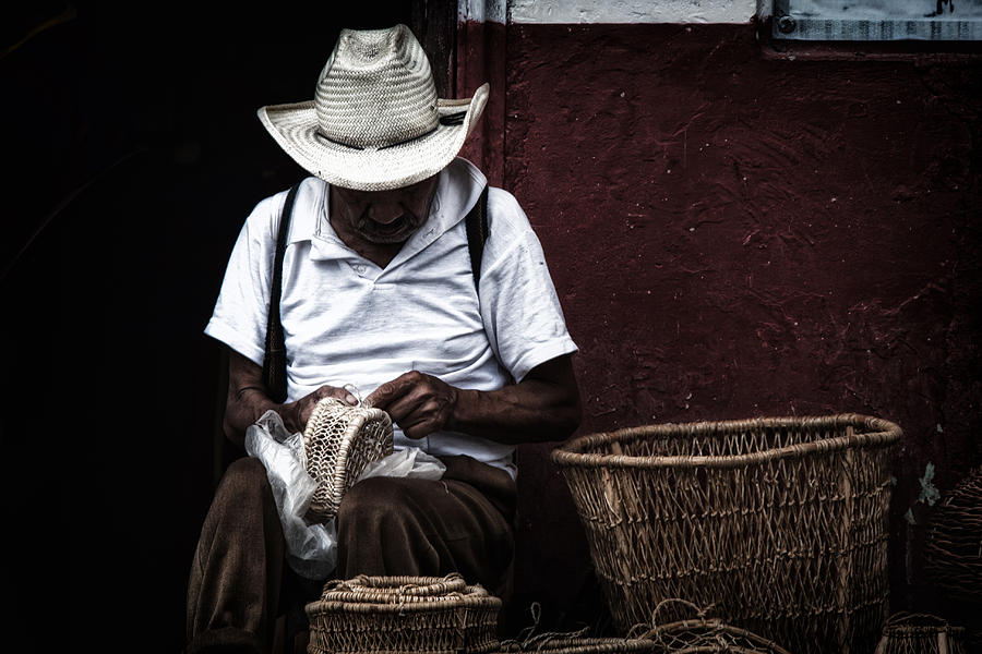 Working hard Photograph by Gerardo Borbolla - Fine Art America