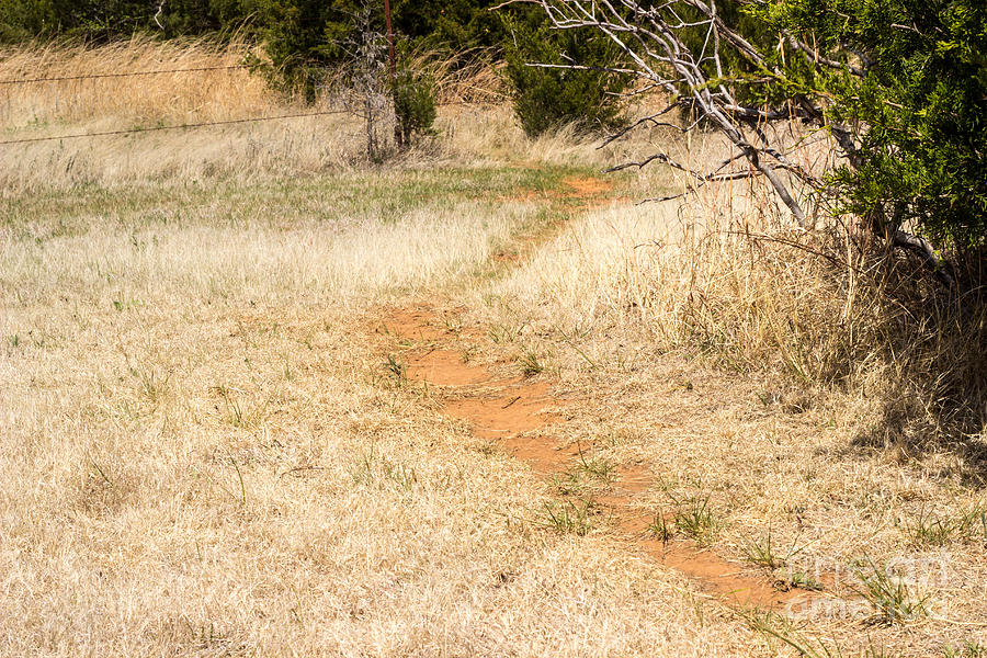 Worn Path Photograph by Laura Deerwester - Fine Art America