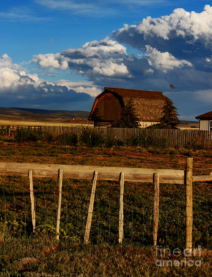 Wyoming barn Photograph by Wesley Hahn - Fine Art America